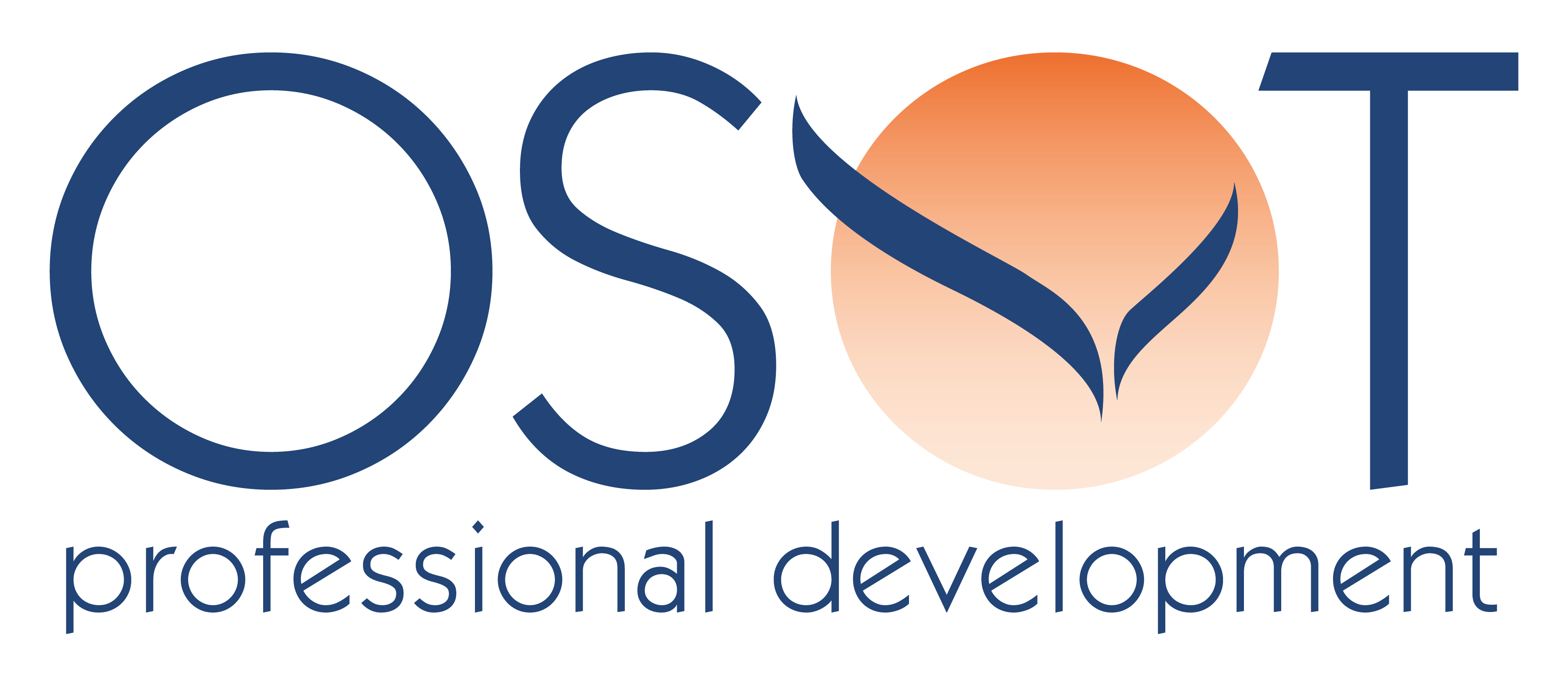 OSOT Professional Development